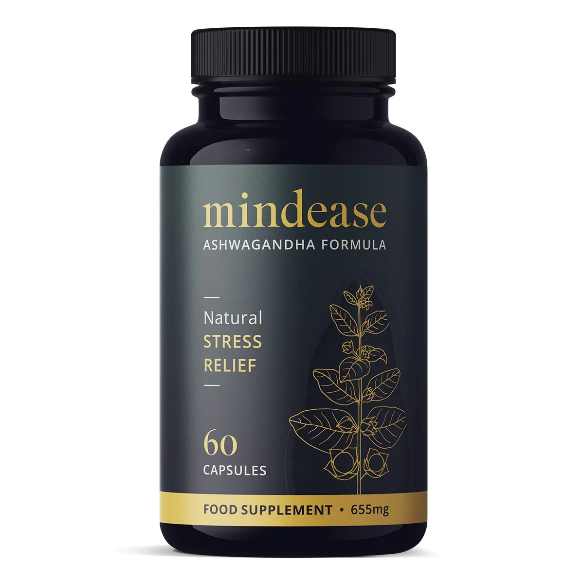 Vivellify Shop | Vivellify Shop